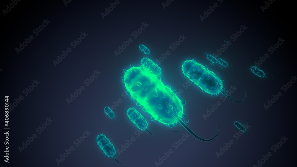 3d illustration of bacteria anatomy. Stock Illustration | Adobe Stock