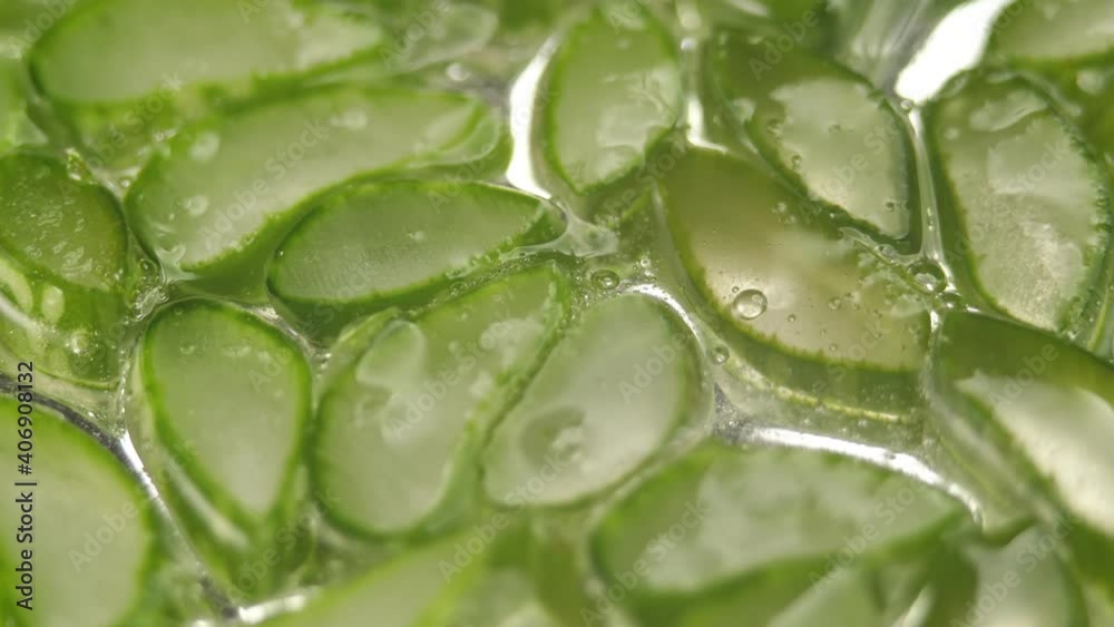 Cut aloe leaves highlighted from below. You can see the structure of ...