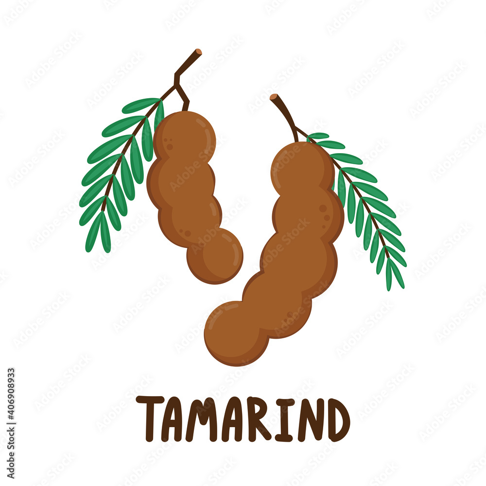 Tamarind cartoon vector. Tamarind on white background. เวกเตอร์สต็อก ...