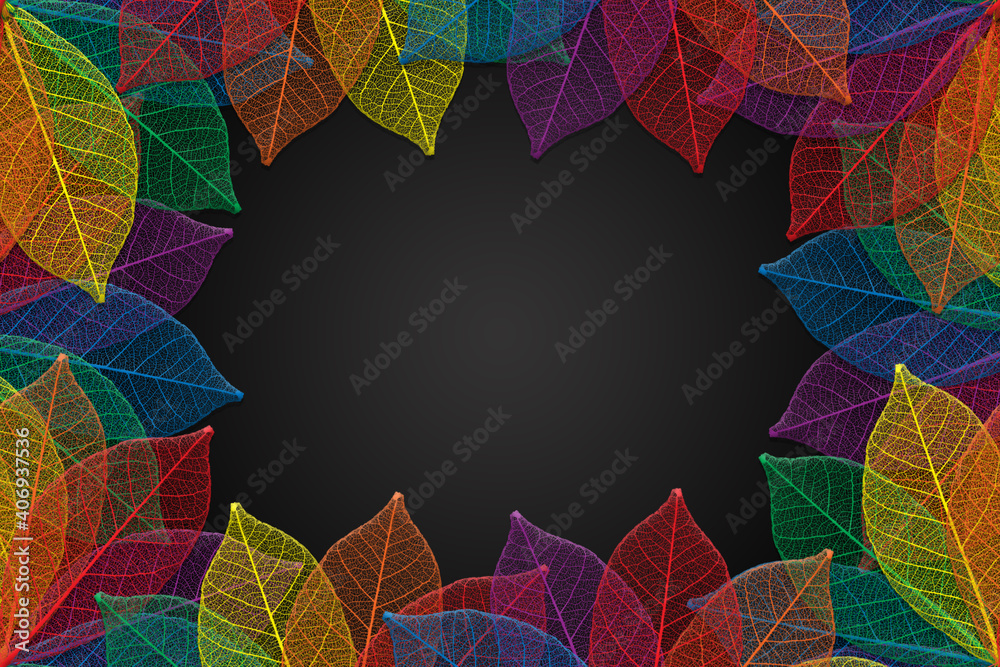 Rainbow colored leaf skeletons frame border on a black background Stock ...