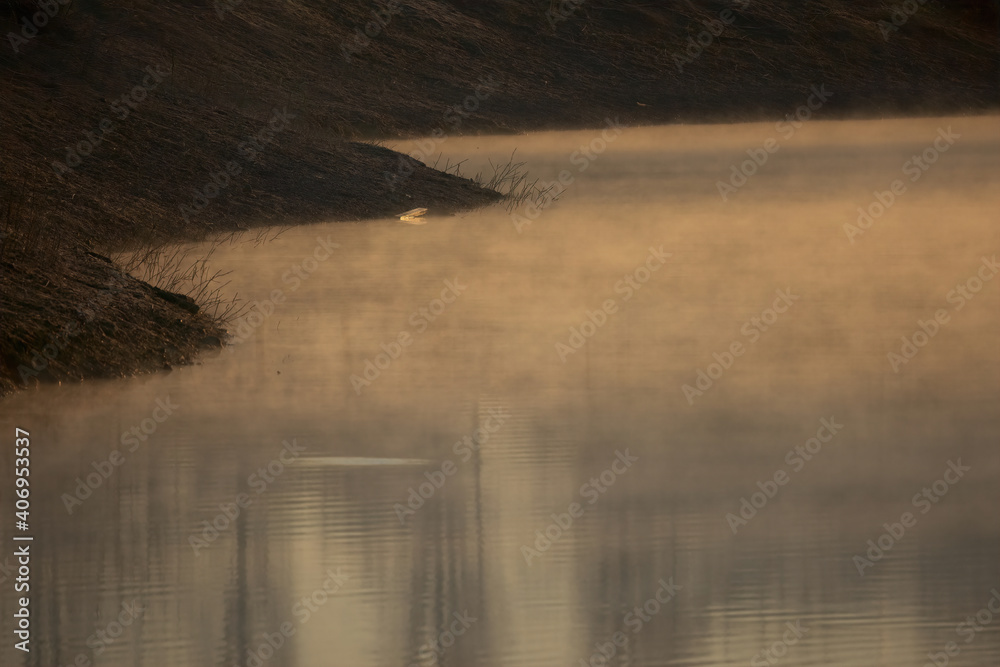 Natural park in winter, with morning fog shot from various angles ...