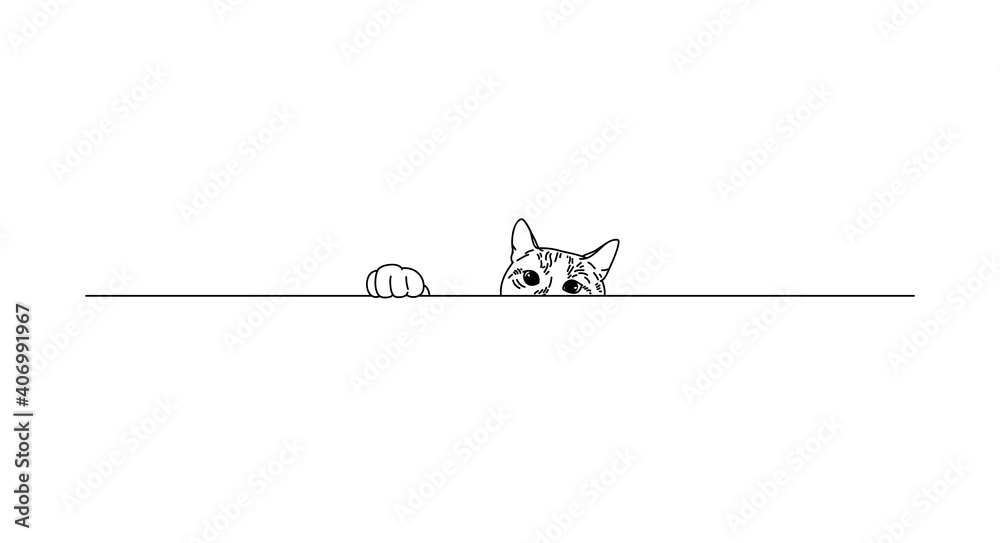 Curious tabby cat is peeking out from behind something. Cute animal ...