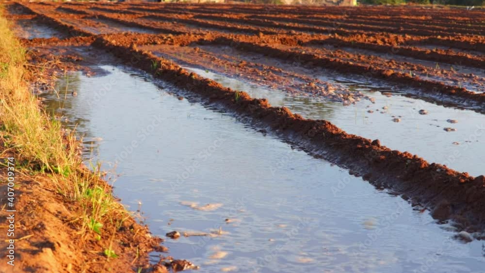 indian farm,gujarat indian farm,Indian farmer work,Steam escaping from ...