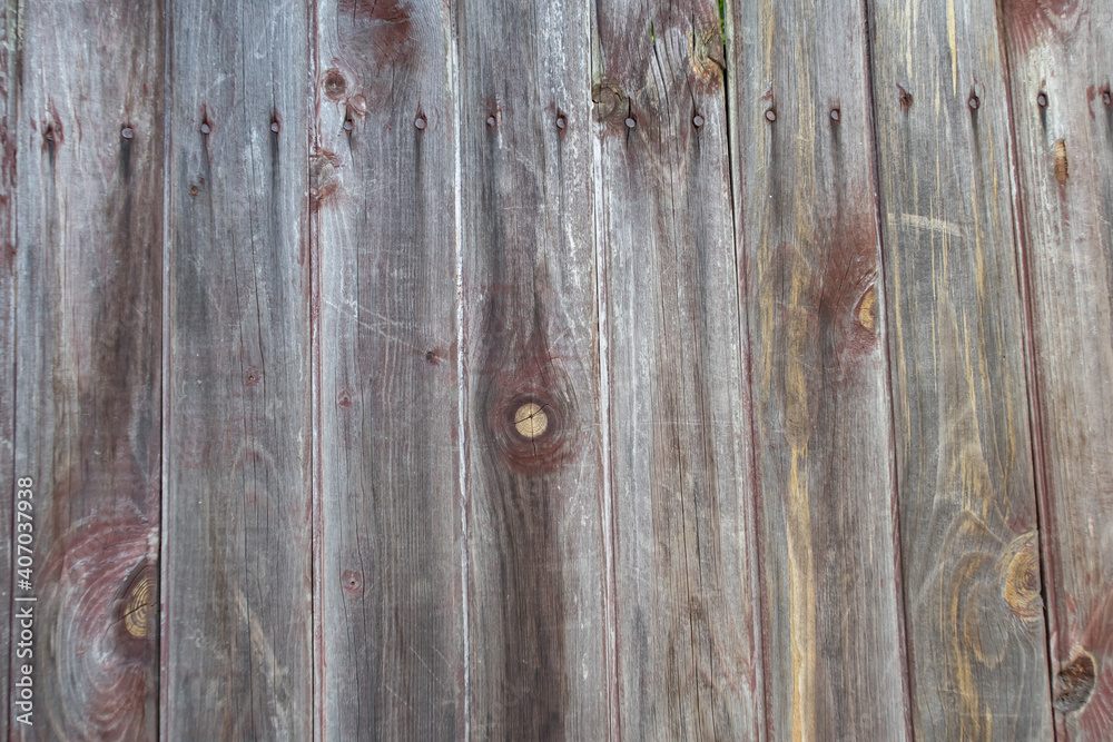 Rotten fence boards with traces of burgundy paint, knots, background ...