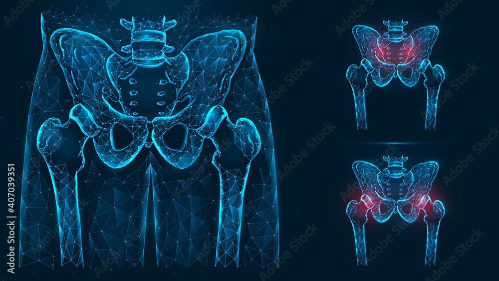 Bones of the pelvis and hip, human anatomy. Pelvic and hip joint pain ...