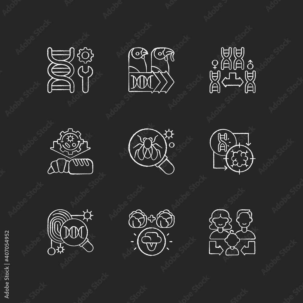 Genetics chalk white icons set on black background. Genetic engineering ...