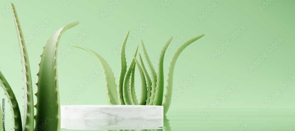 White marble podium, Cosmetic display product stand with aloe vera leaf ...