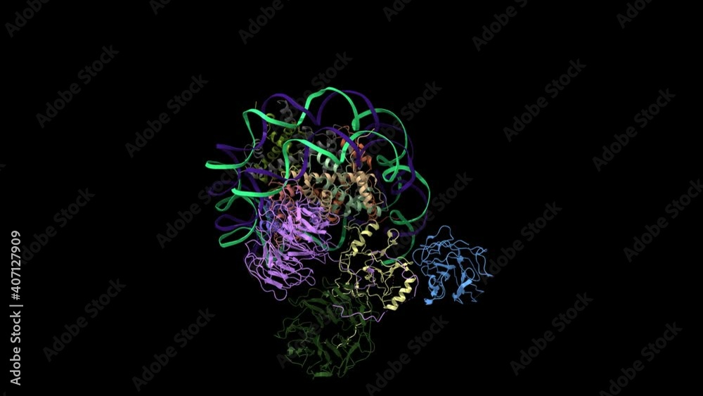 Cryo-EM structure of human MLL1-NCP complex, binding modes 1-2 ...