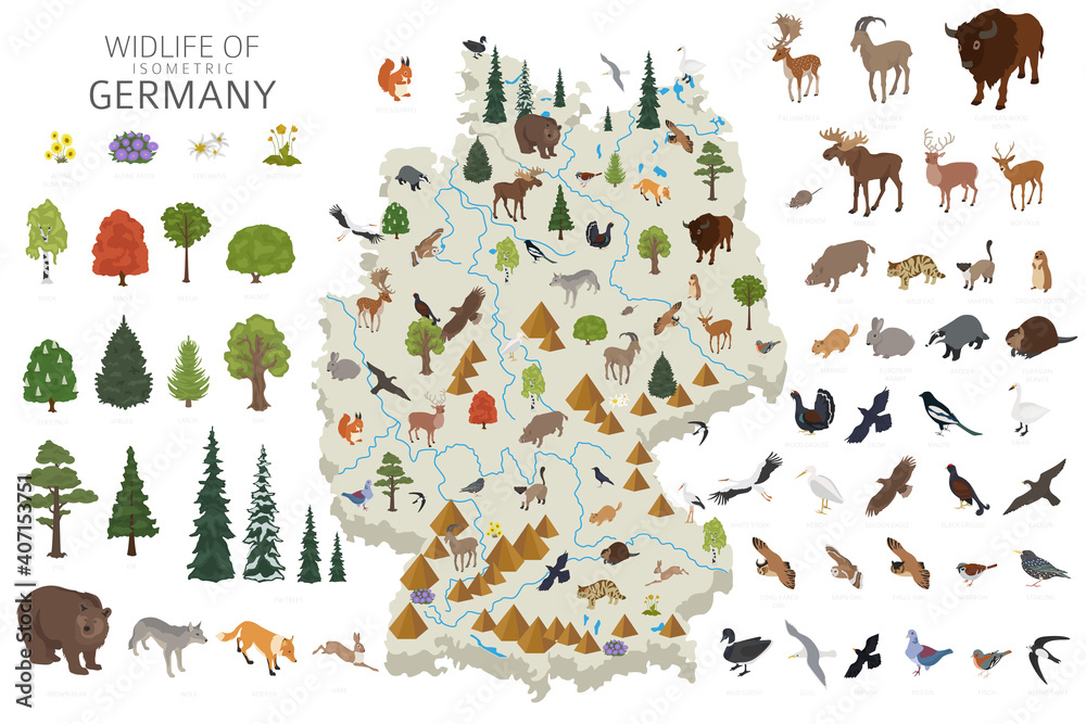 Isometric 3d design of Germany wildlife. Animals, birds and plants ...