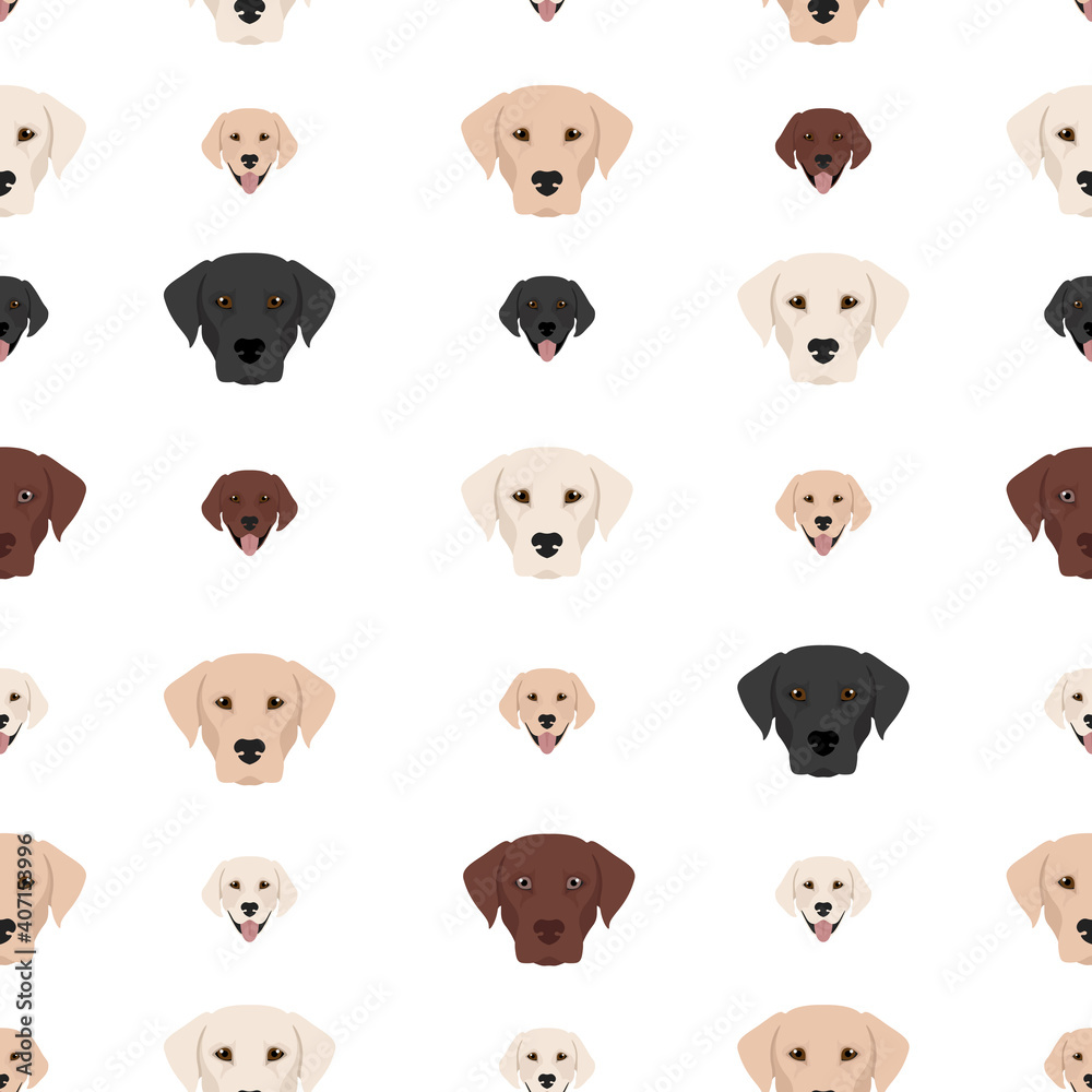 Labrador retriever dogs in different poses and coat colors. Seamless ...