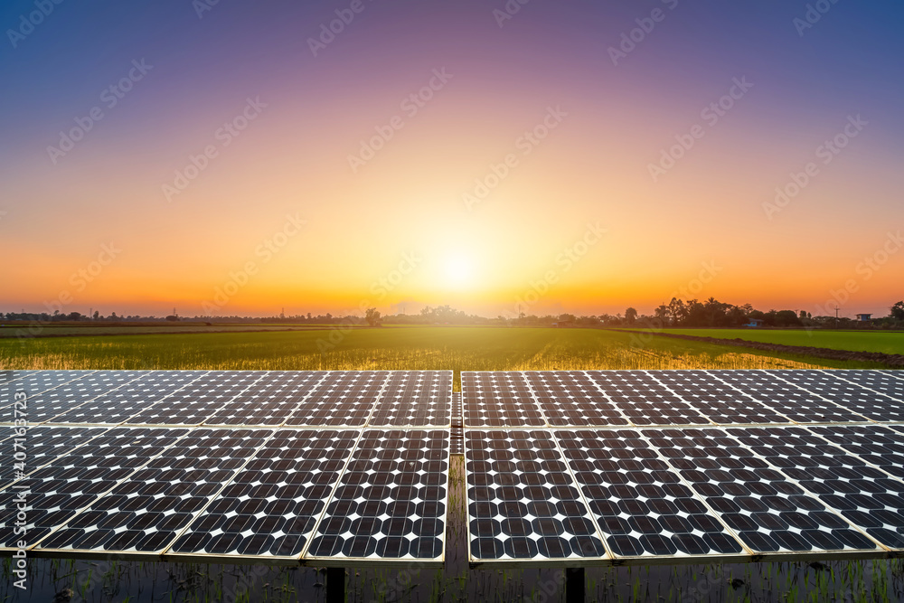 Photovoltaic modules solar power plant with view green Cornfield and ...
