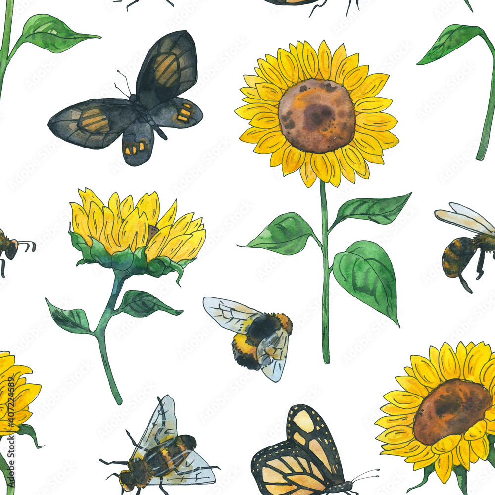 Sunflower Drawing Pattern