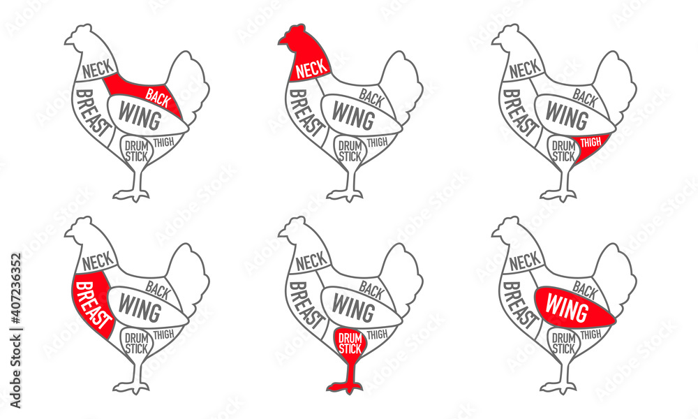 Chicken cuts. Diagrams and scheme for butcher shop. Farm animal ...