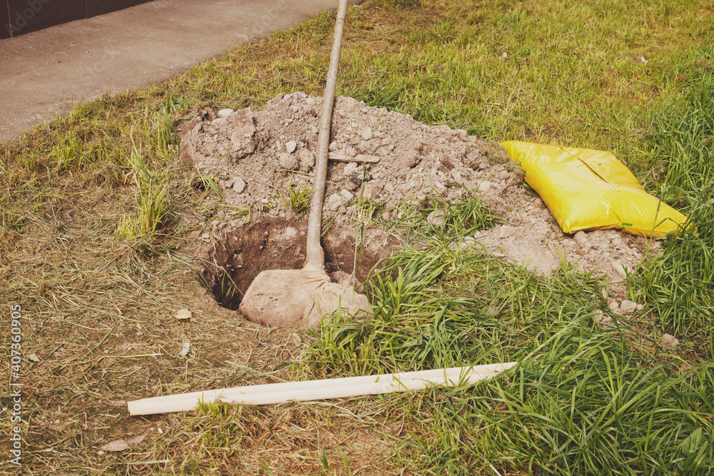 Young tree sapling lies at dug hole next to shovel and is ready to ...