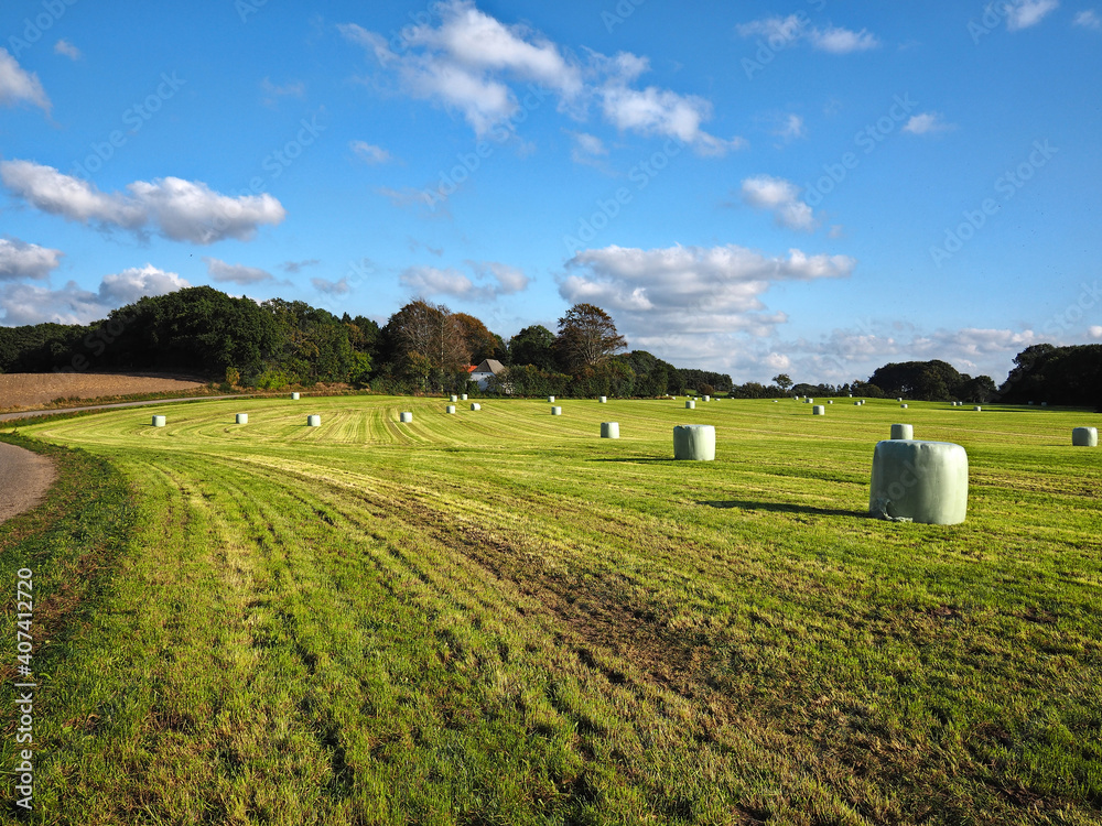 Green field with packed hay lucerne bales Stock Photo | Adobe Stock