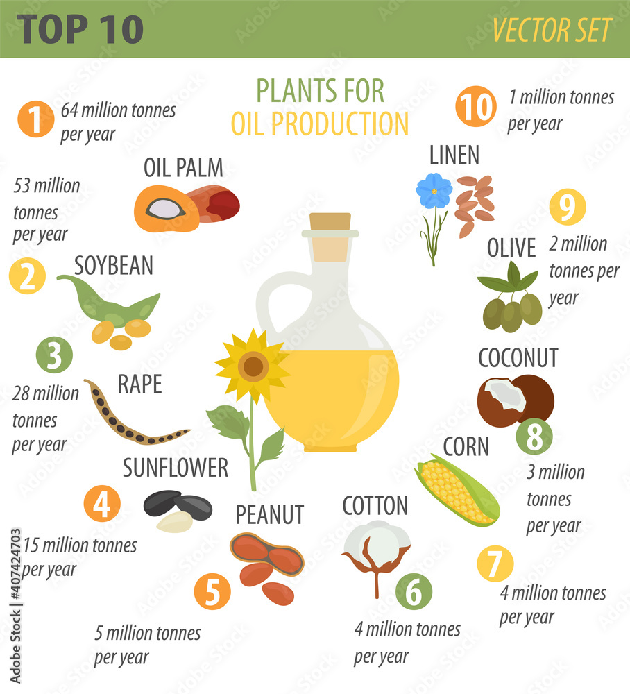 Top 10 plants for vegetable oil production infographic design Stock ...