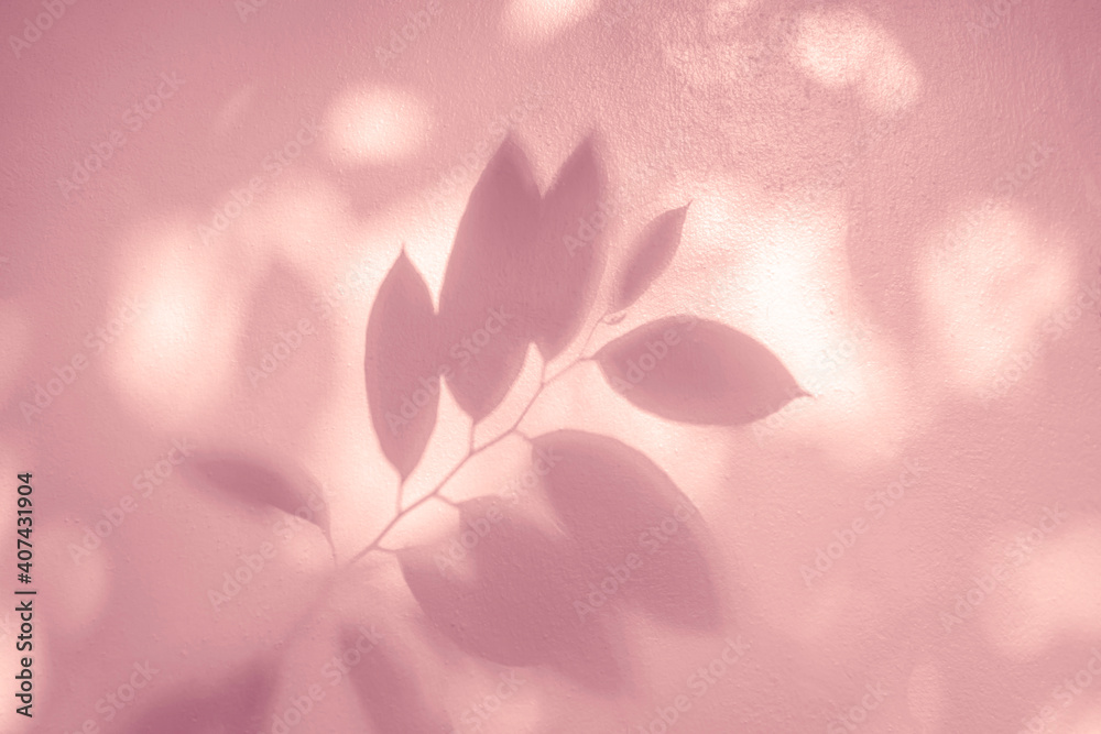 Foto de Leaf shadow and tree branch on wall blur background. Nature ...