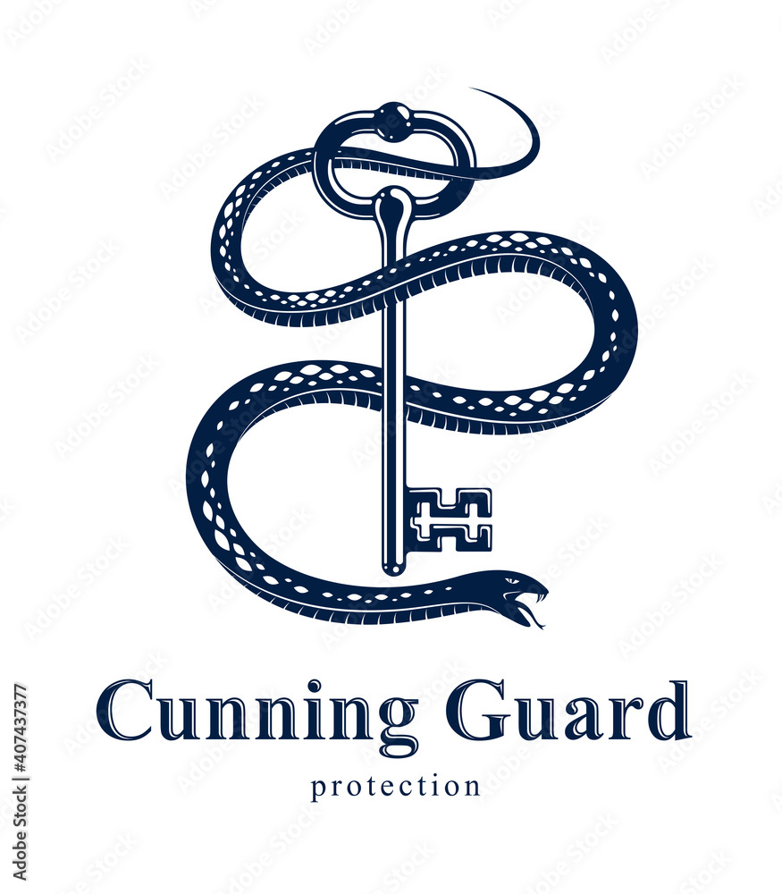 Snake wraps around vintage key, protected secret concept, turnkey and ...