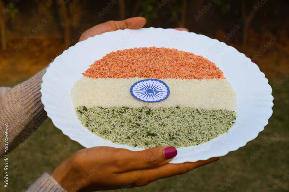 Female holding plate of tri color or tiranga Indian flag food depicted ...