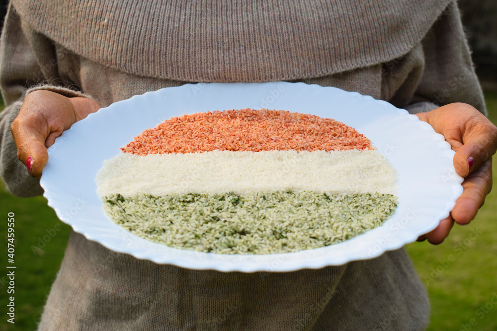 Female holding plate of tri color or tiranga Indian flag food depicted ...