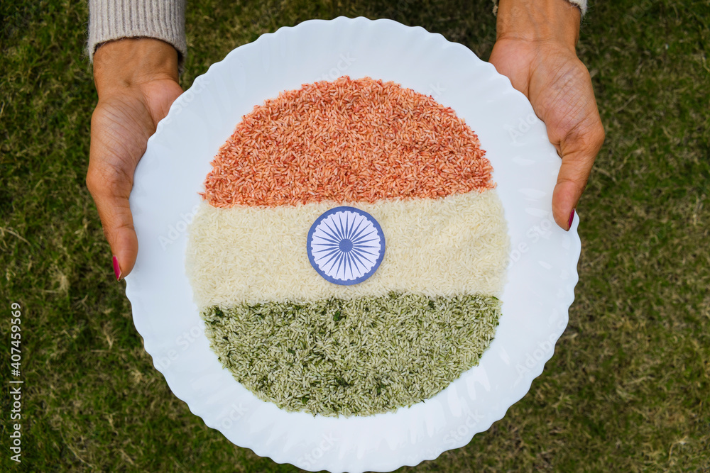 Female holding plate of tri color or tiranga Indian flag food depicted ...