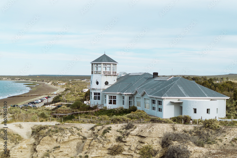 Conheça a Magia de Puerto Madryn: Natureza Exuberante e Vida Marinha ...