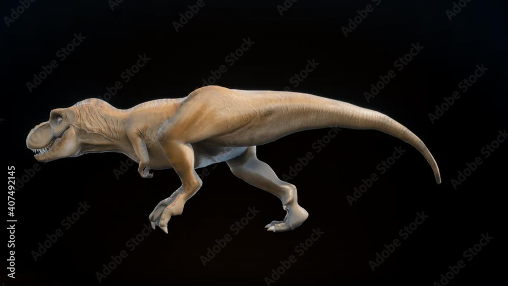 Angry T-Rex dinosaur runs in a looping seamless animation. Reptile on ...