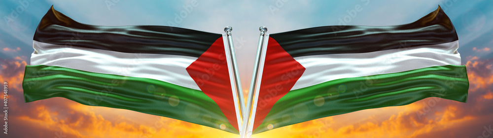 Double Flag palestine فلسطين and Palestine flag waving flag with ...