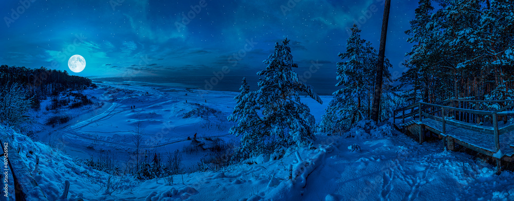 Panoramic view of snowy beach with dunes and Baltic sea surrounded by ...