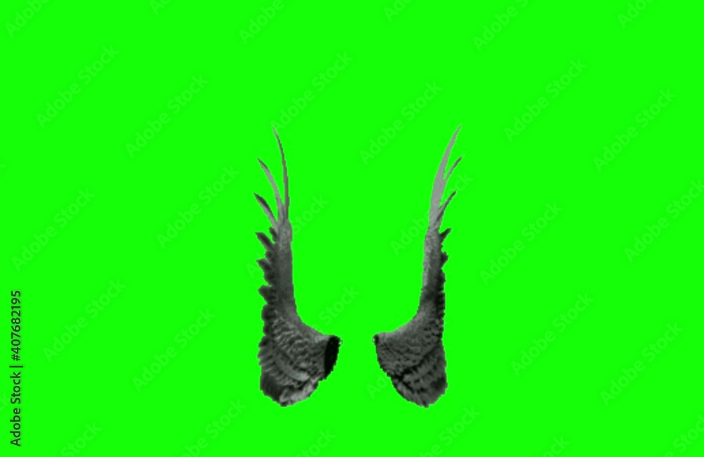 dark black real angel wings, loops, fantasy fairy wings with a green ...
