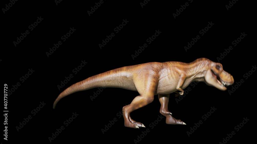 The angry dinosaur tyrannosaurus makes a horrific roar in a looping ...