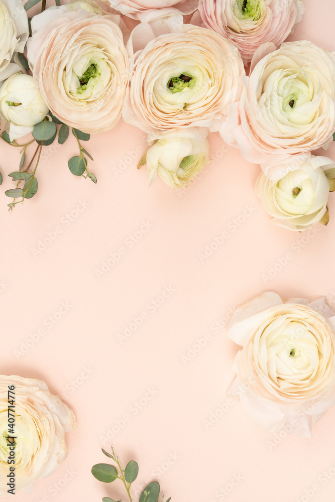 Floral flat lay background with fresh blush ranunculus flowers Stock ...