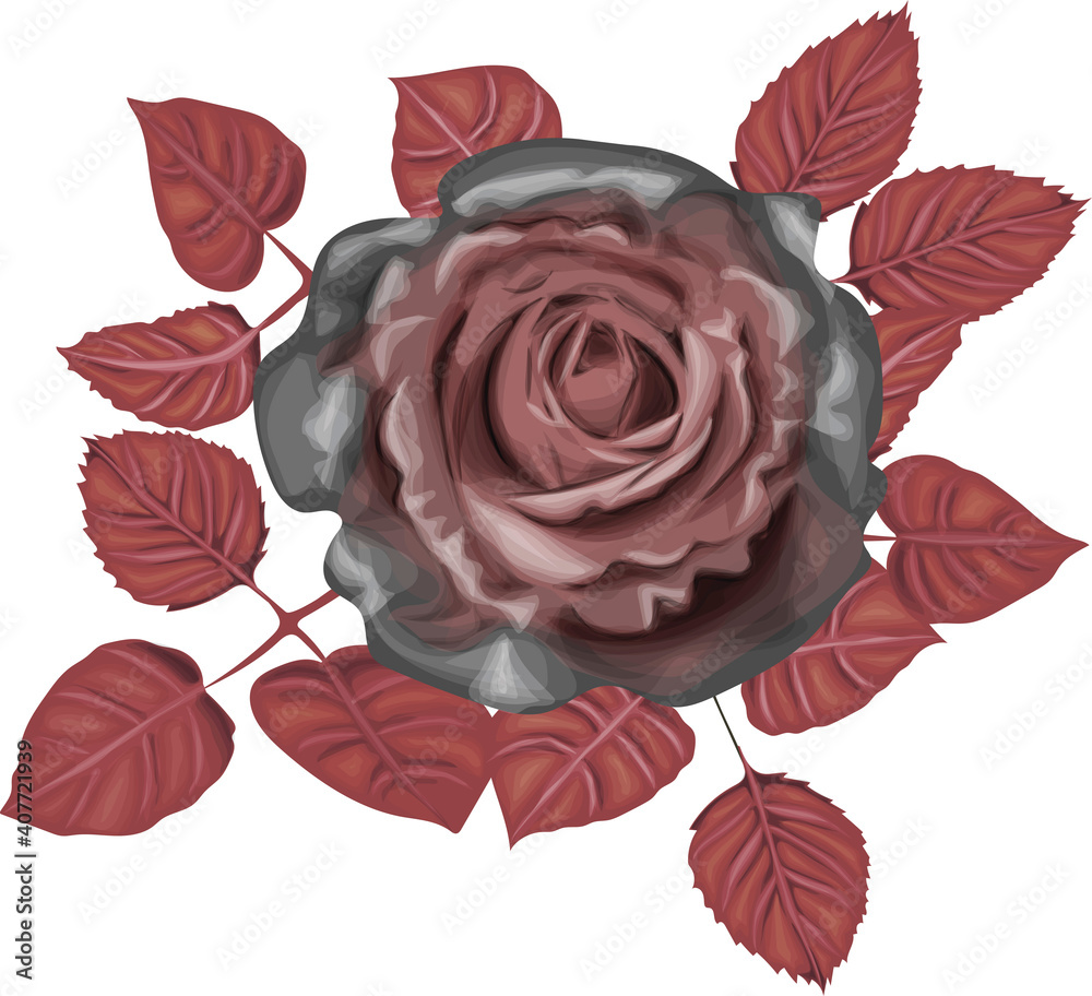 Gothic Vector Roses / Black roses bouquet isolated on white background ...
