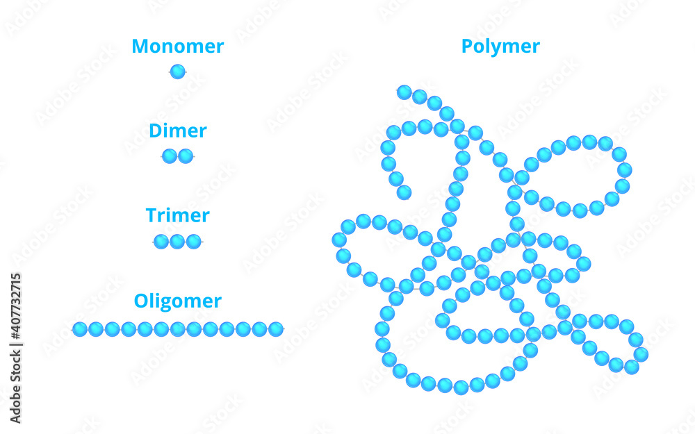 Nucleic Acid Monomer Dimer And Polymer - vrogue.co Nucleic Acid Monomer Dimer And Polymer - vrogue.co