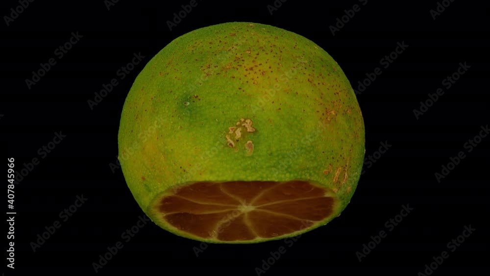 Realistic render of a rolling cut Calamansi (Philippine Lime) on ...