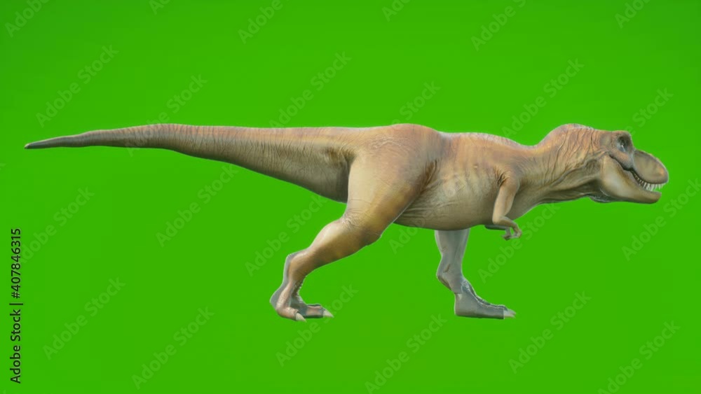 Angry Dinosaur T-Rex walks in a looping seamless animation. Reptile in ...
