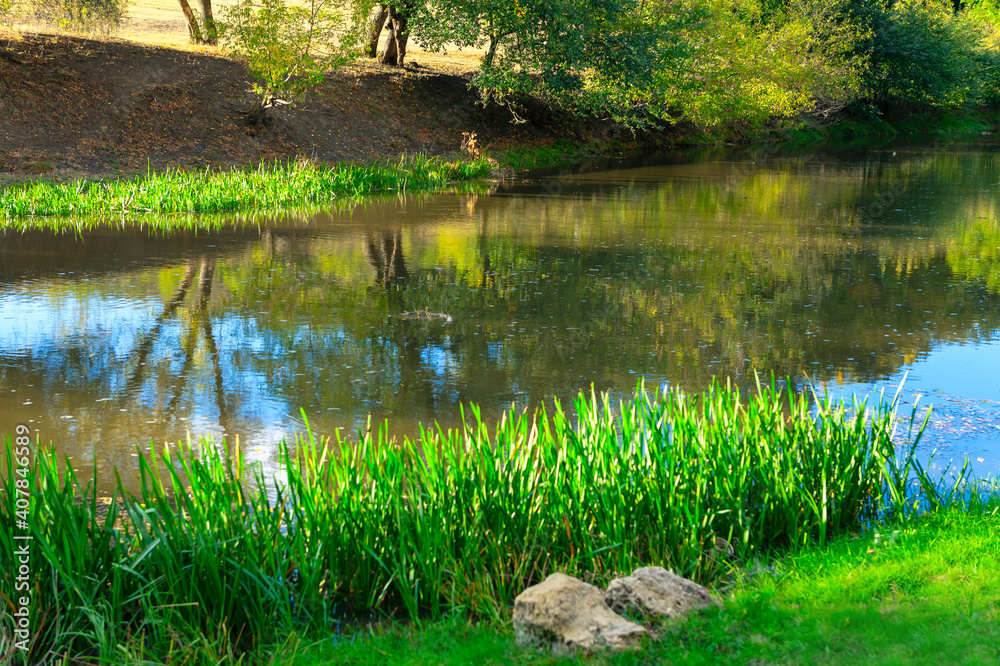 Mirror of trees on water surface at riverside . Shadow at the green ...