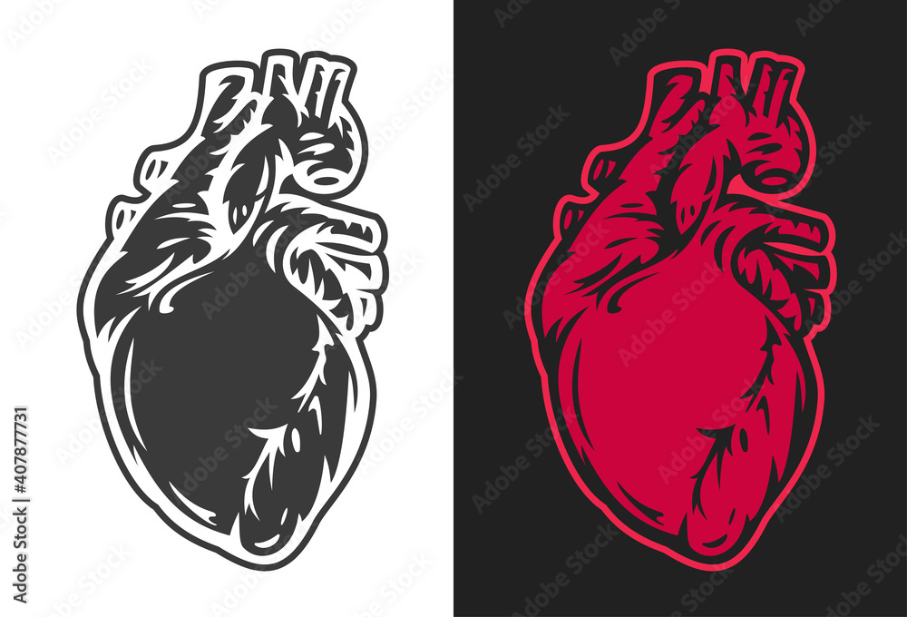 Human heart isolated on clear background. Monochrome and color hand ...