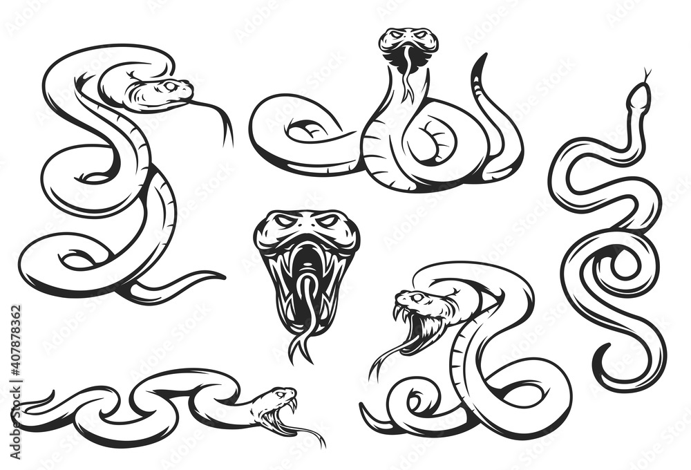 Set of hand drawn snakes isolated on white background. Collection ...