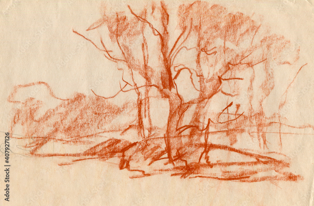 Poster sketch of trees using the sanguine technique – Wall Art | UkPosters