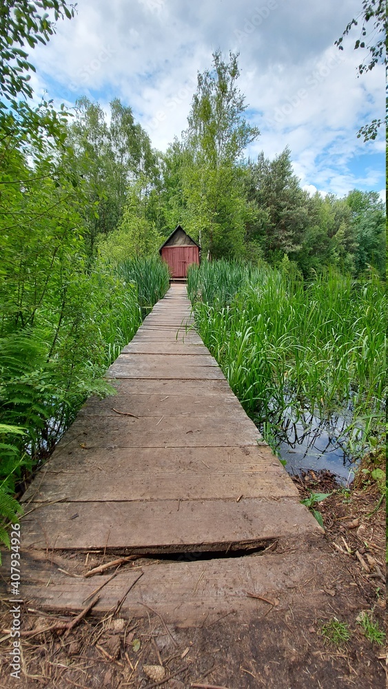 Shrek's hut on a swamp - Palowice Lakeland Stock Photo | Adobe Stock