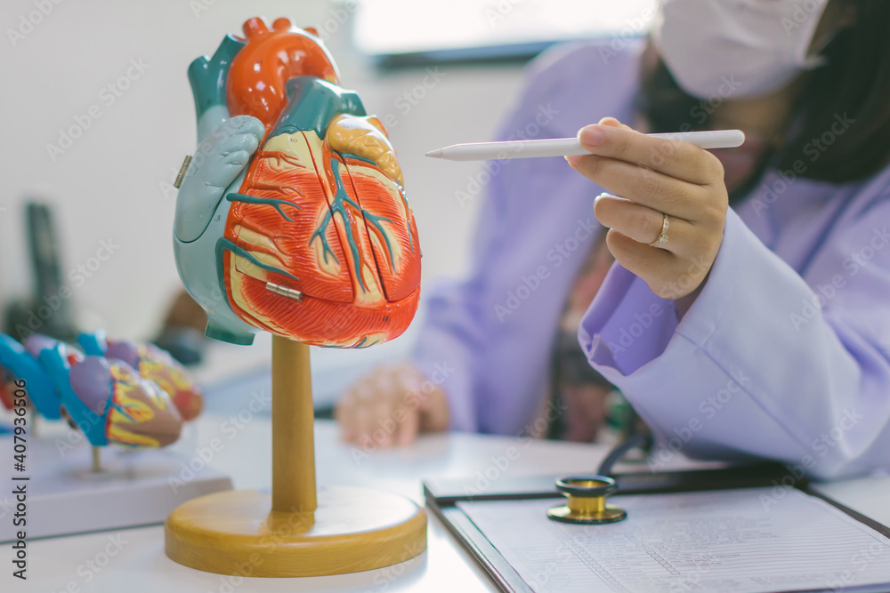 Doctor explaining heart to elderly patient. Doctor explaining the heart ...