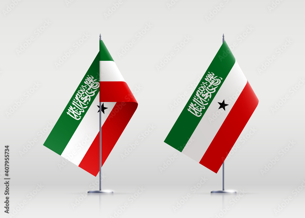 Somaliland flag state symbol isolated on background national banner ...
