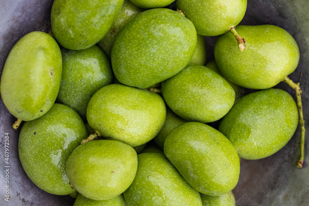 A group of fresh small green mango locally available in the south of ...