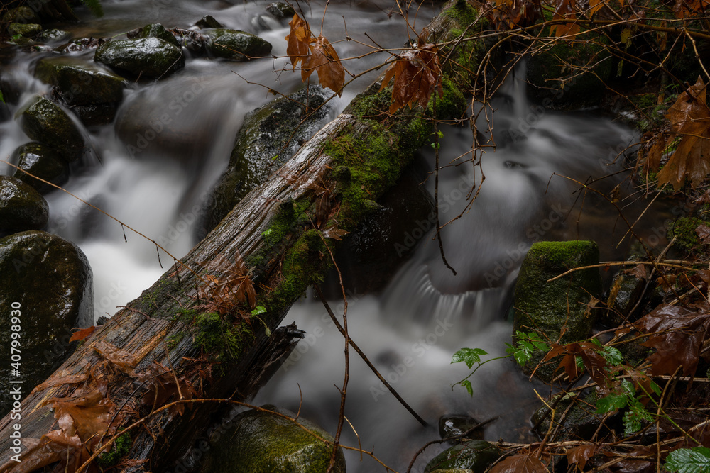 moody stream flow in forest Stock Photo | Adobe Stock
