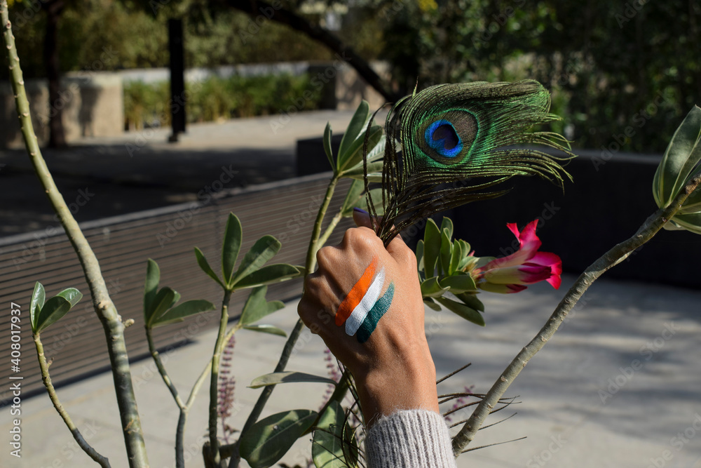 Female celebrating Indian republic day by cheering Depicted by Tricolor ...