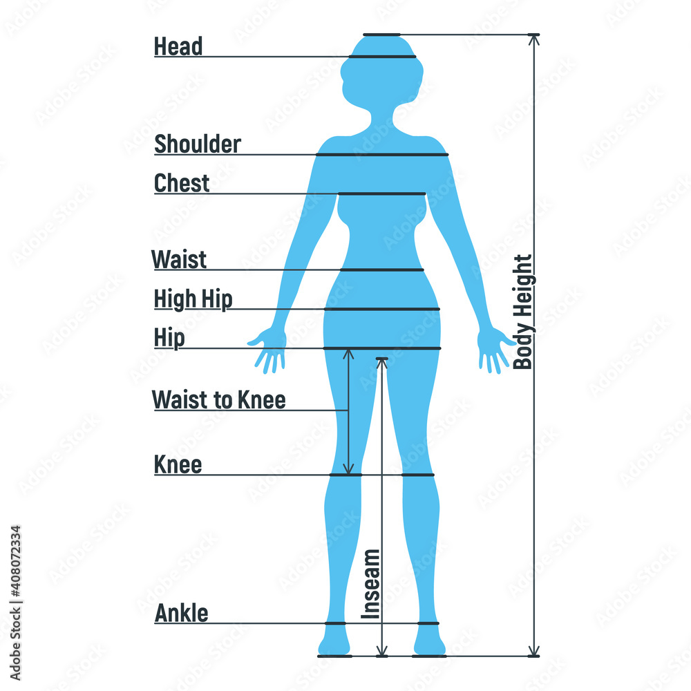Female size chart anatomy human character, people dummy front and view ...
