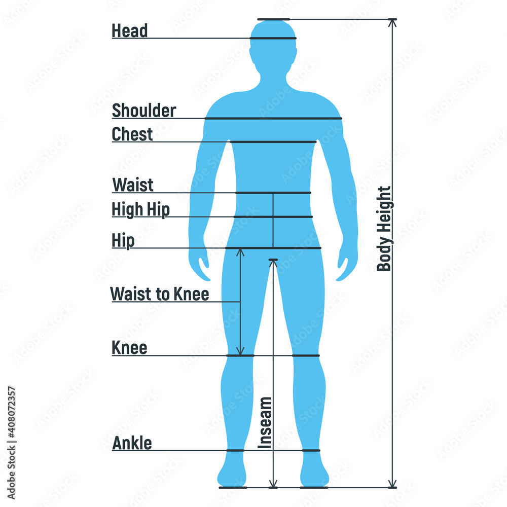 Male size chart anatomy human character, people dummy front and view ...