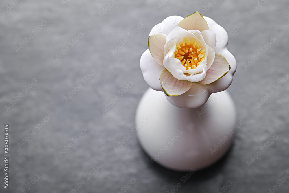 Flower Vase Top View