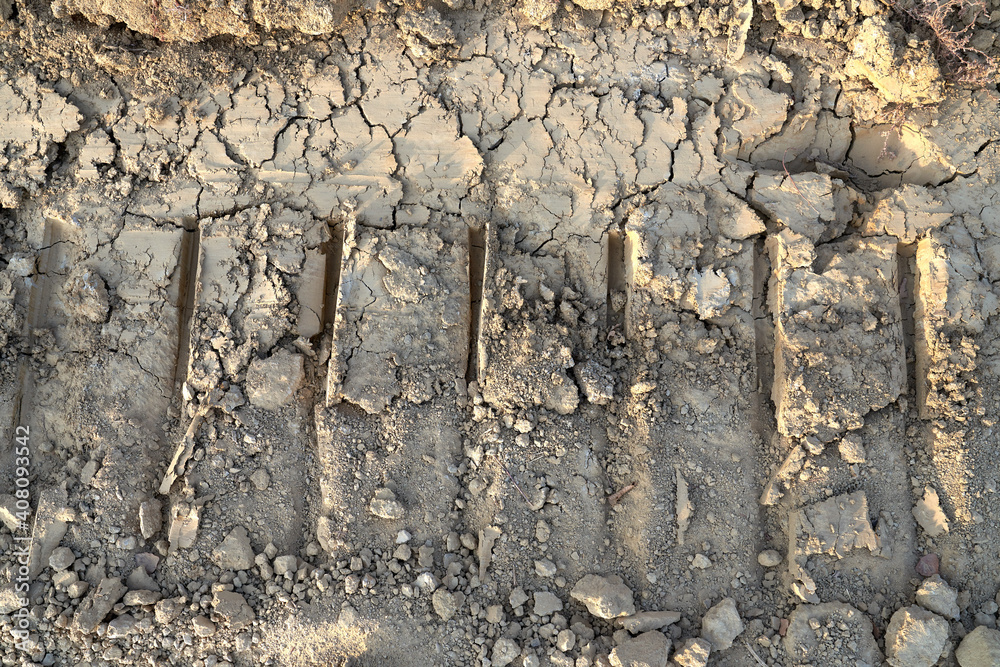 Dry swamp with mud and traces wheel. Stock Photo | Adobe Stock